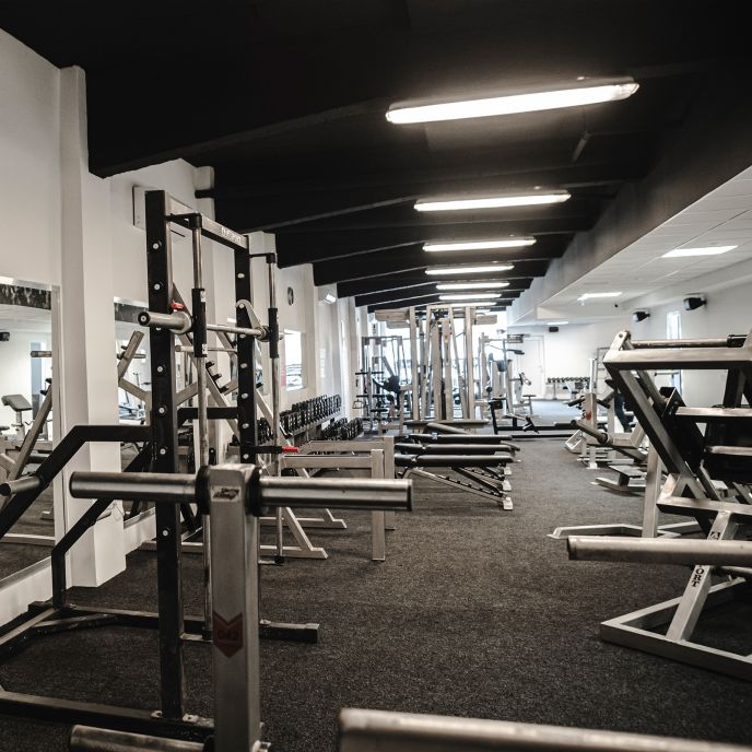 Alpha Gym webáruház